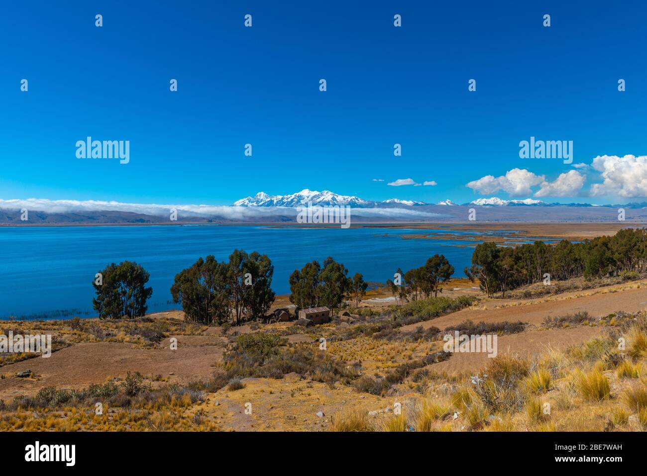 Cordillera real cordillera hi-res stock photography and images - Alamy