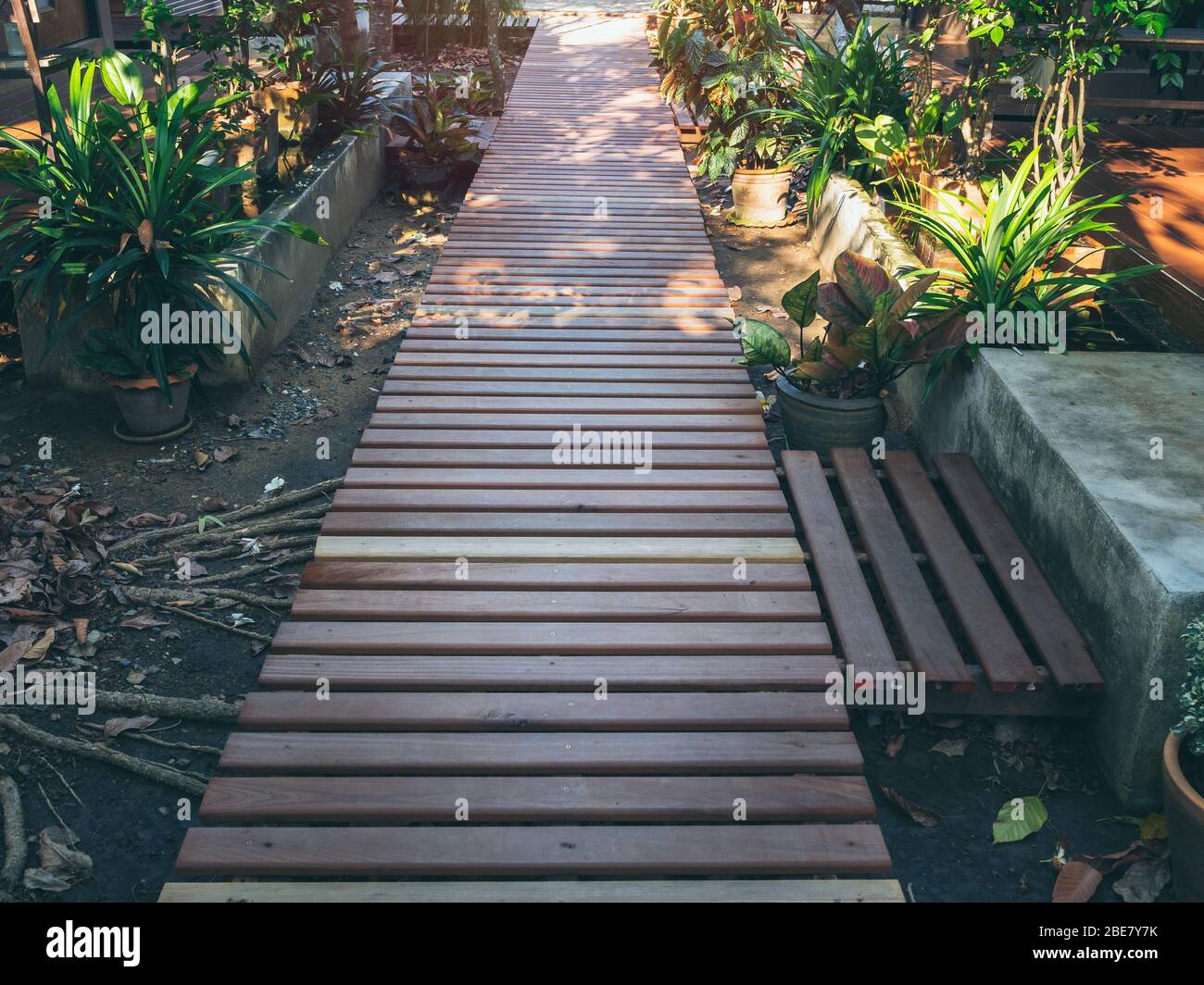 Plank walkway hi-res stock photography and images - Alamy