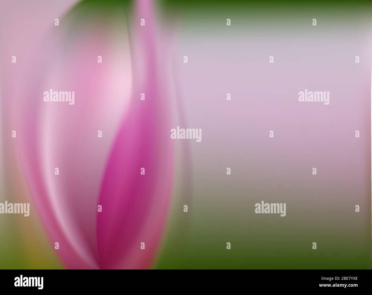 spring silk abstract background pink ash gives freshness and happiness ...