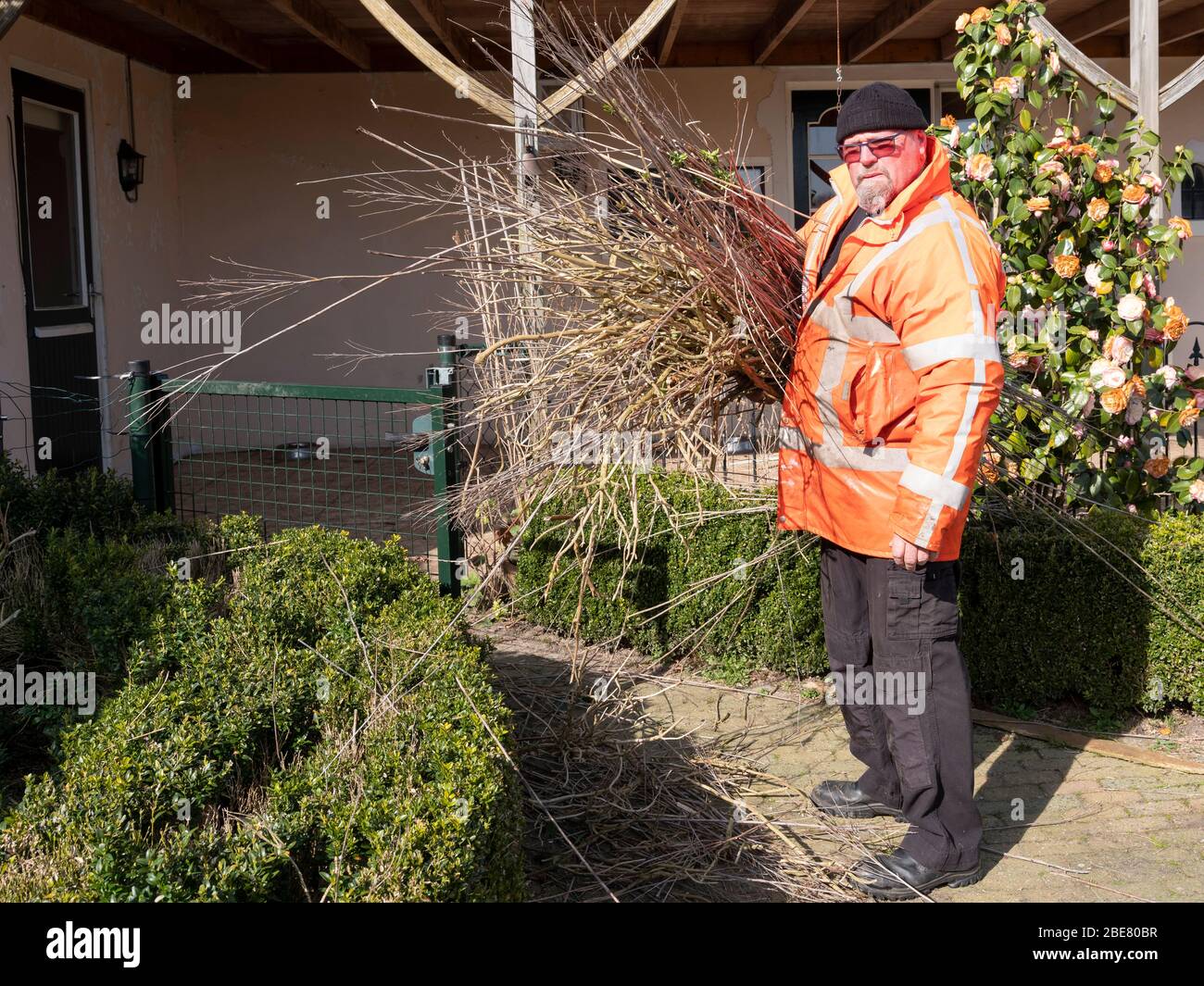 Branches bushes clearing hi-res stock photography and images - Alamy