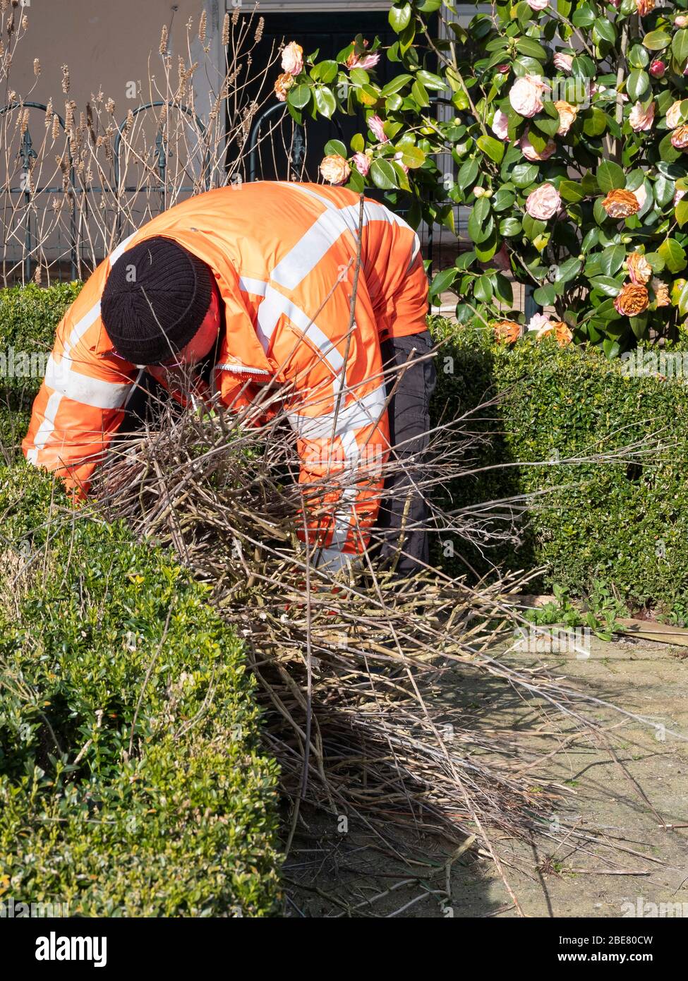 Branches bushes clearing hi-res stock photography and images - Alamy