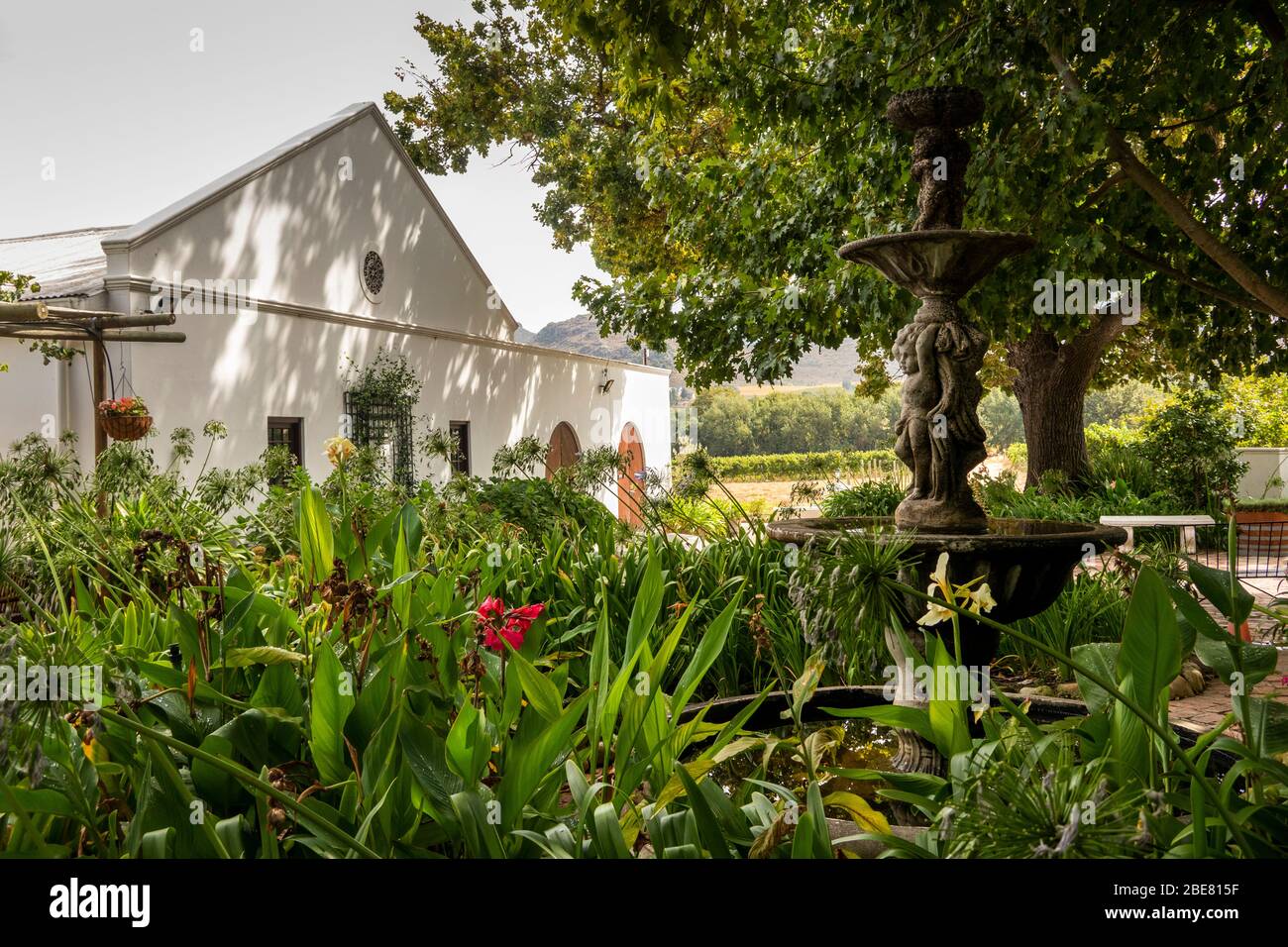 Moreson and wine hi-res stock photography and images - Alamy