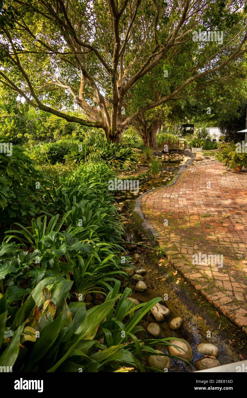 South Africa; Franschhoek; Moreson Winery, path through garden Stock ...
