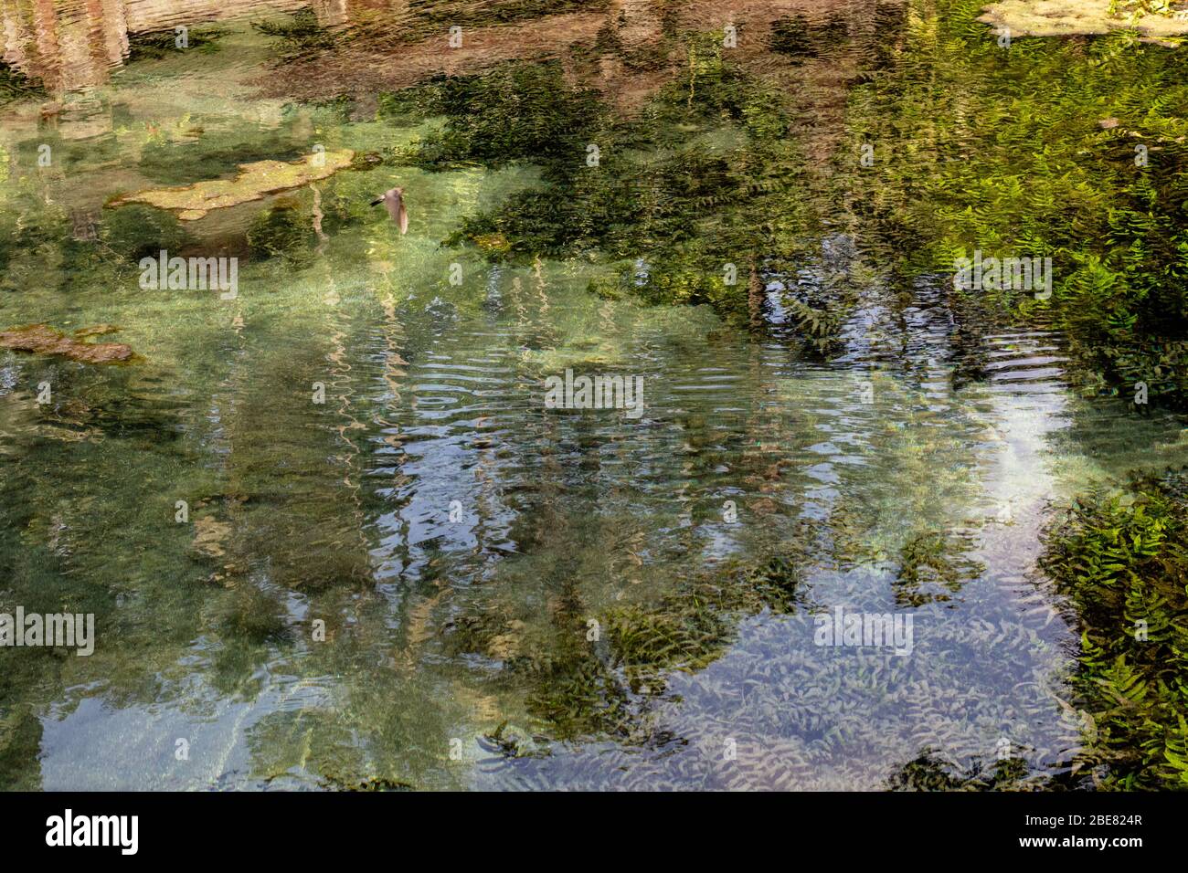 Pure holy water located in Tirta Empul in Bali Stock Photo - Alamy