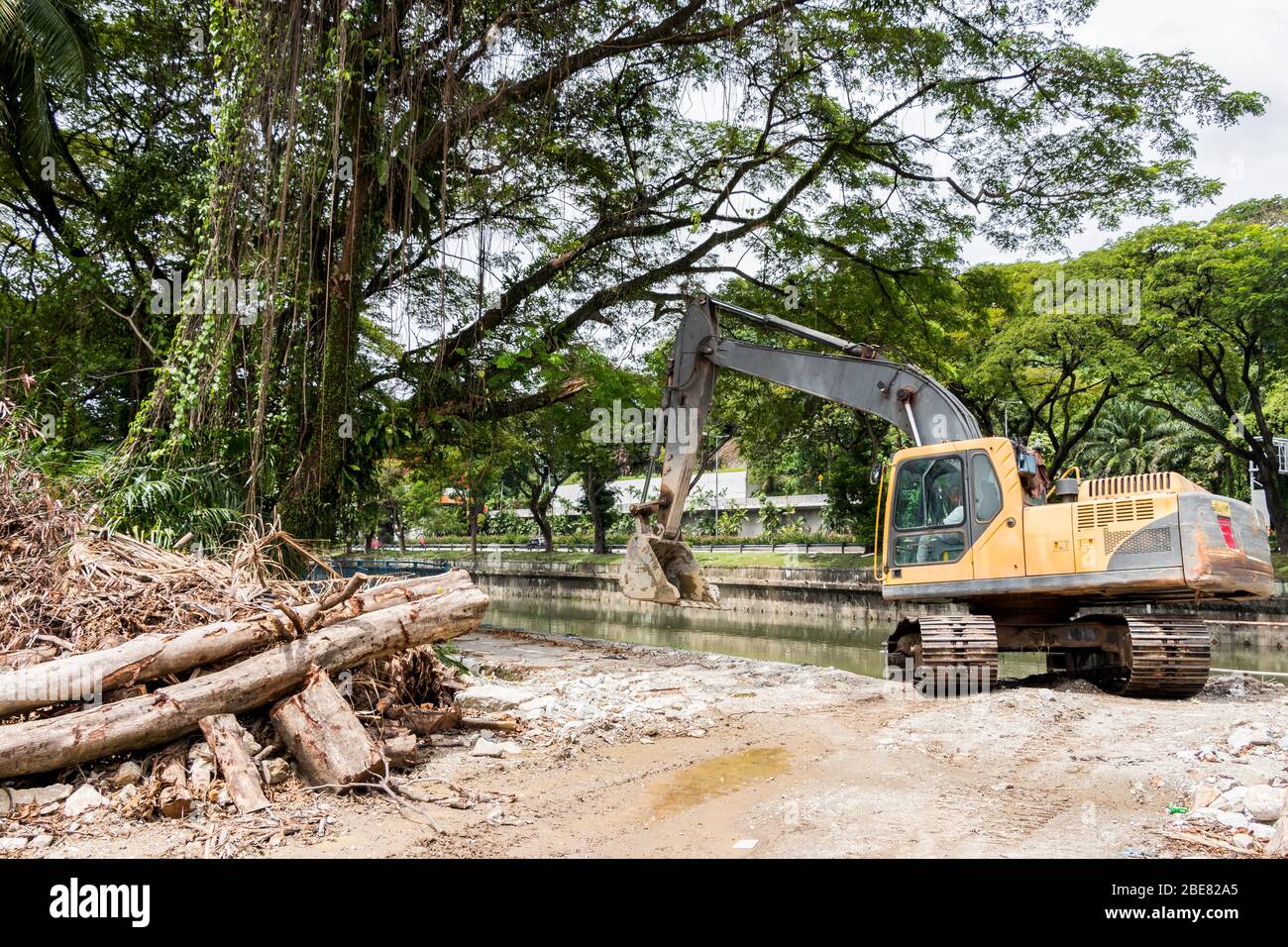 An excavator destroys nature, palm trees and trees and forests in Kuala ...