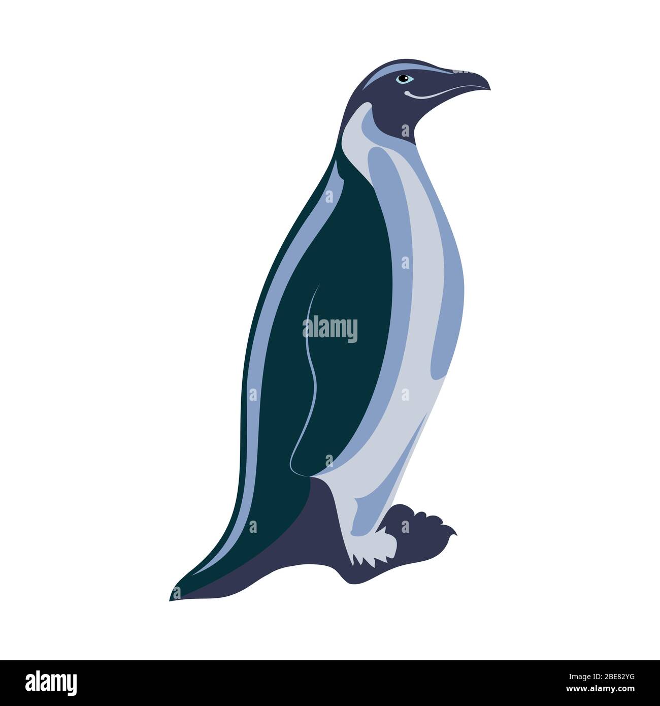 Vector cartoon style illustration of penguins. Isolated on white ...