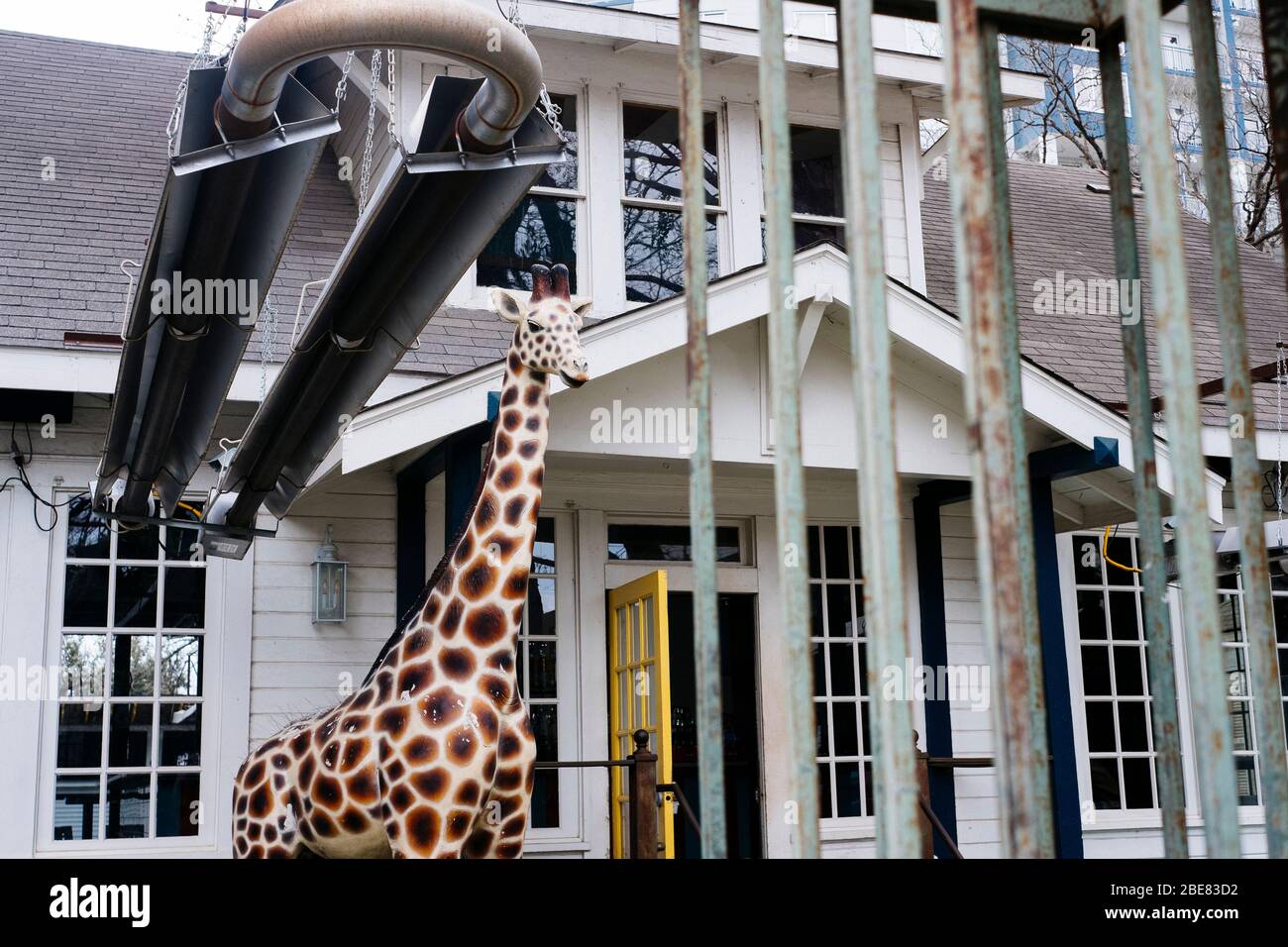 A statue of a giraffe outside a bar in Austin, Texas Stock Photo - Alamy