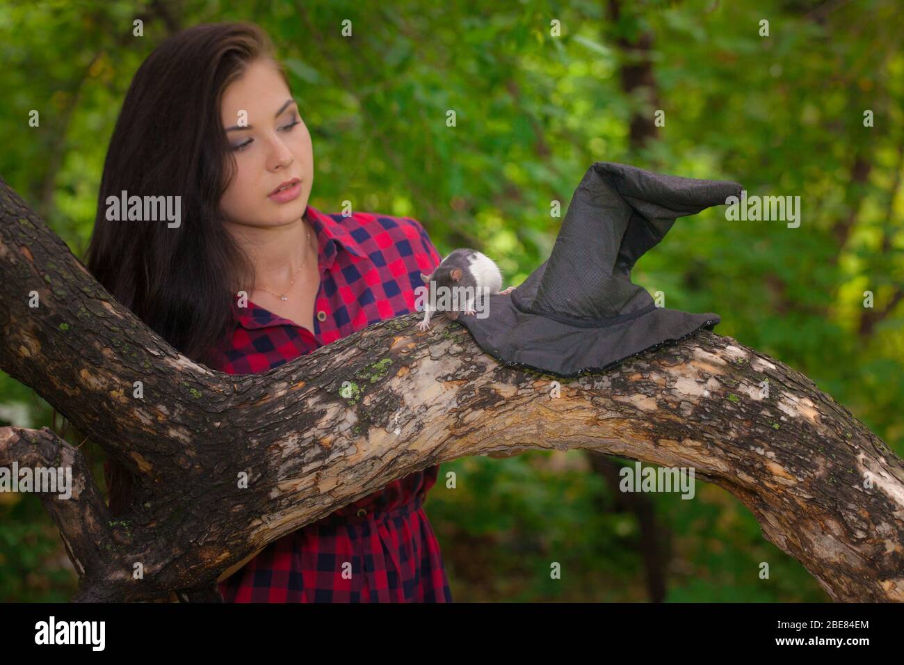 Witch conjures in the woods with a familiar. Brunette girl with a rat ...
