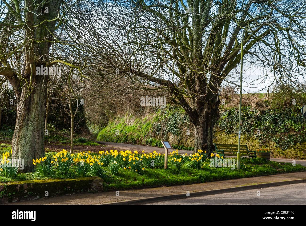 Britain in bloom 2008 hi-res stock photography and images - Alamy