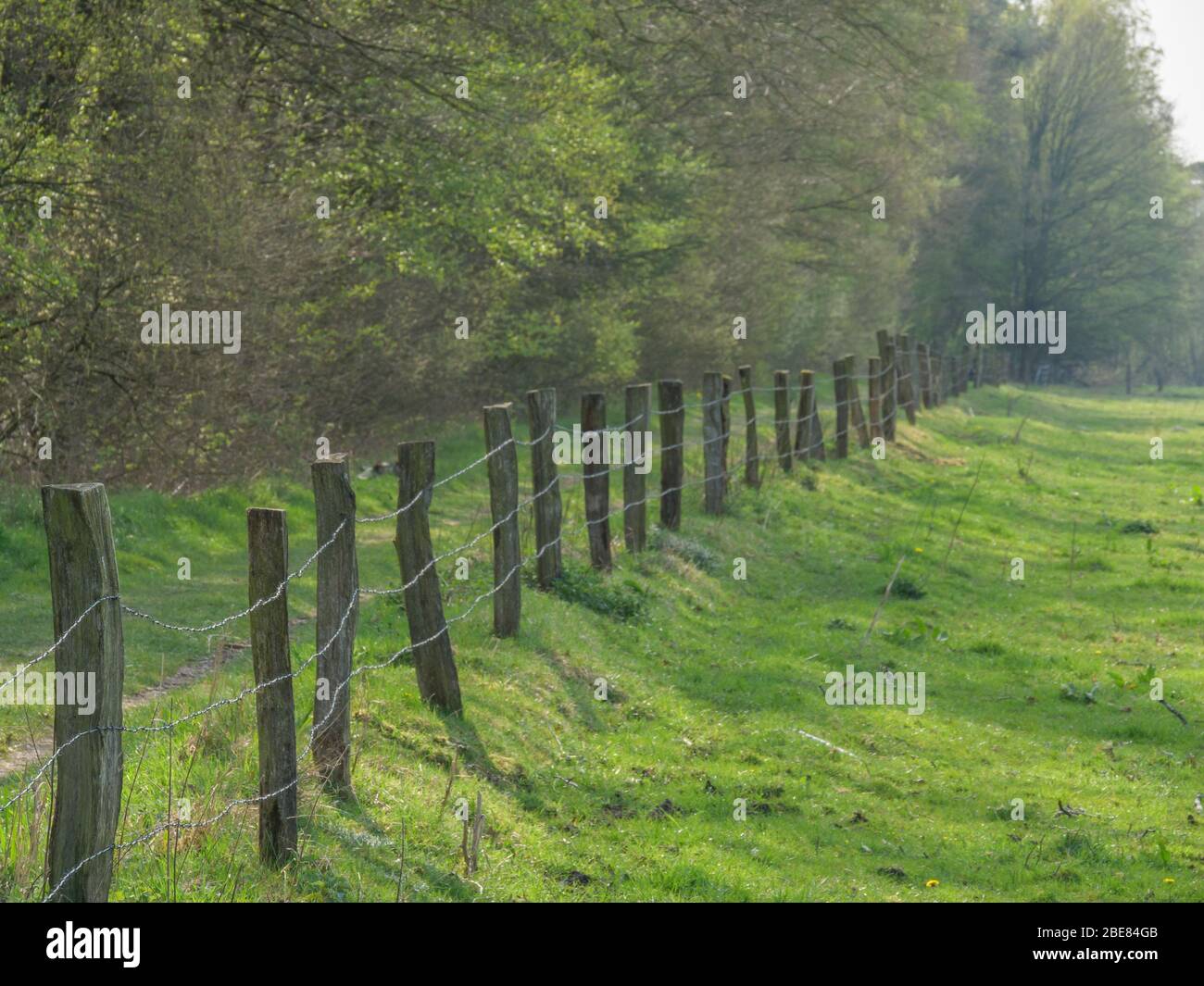 Sprimg hi-res stock photography and images - Alamy