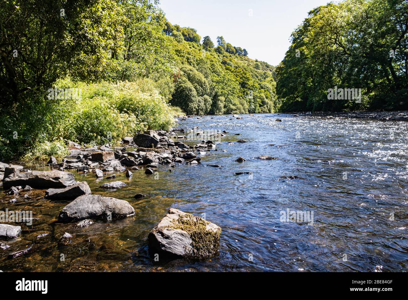 Summer View of River Torridge: Looking Up River in Reduced Flow Shows ...