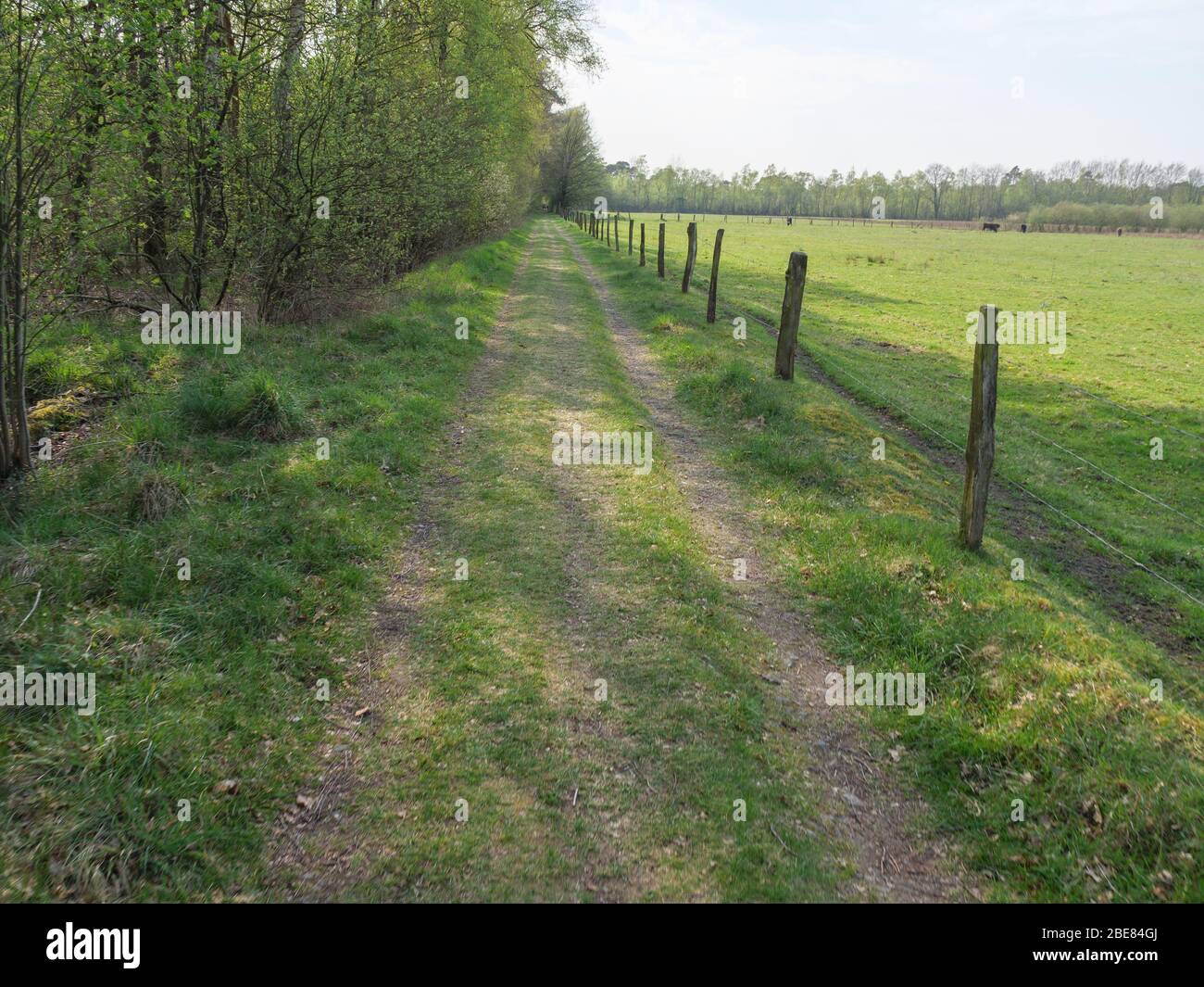 Sprimg hi-res stock photography and images - Alamy