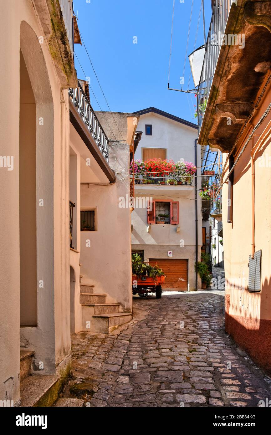 A narrow street between the old houses of Rotonda, a town in the ...