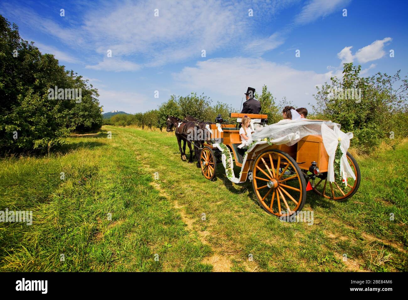 Horse carriage wedding in garden, Great Britain Newly-wed couple in a ...