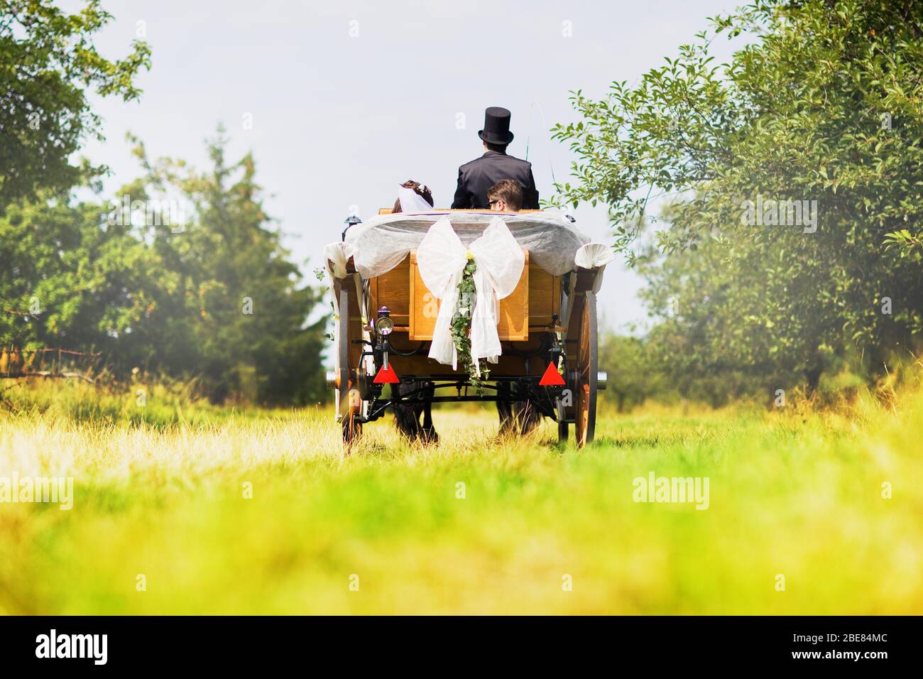 Horse carriage wedding in garden, Great Britain Newly-wed couple in a ...
