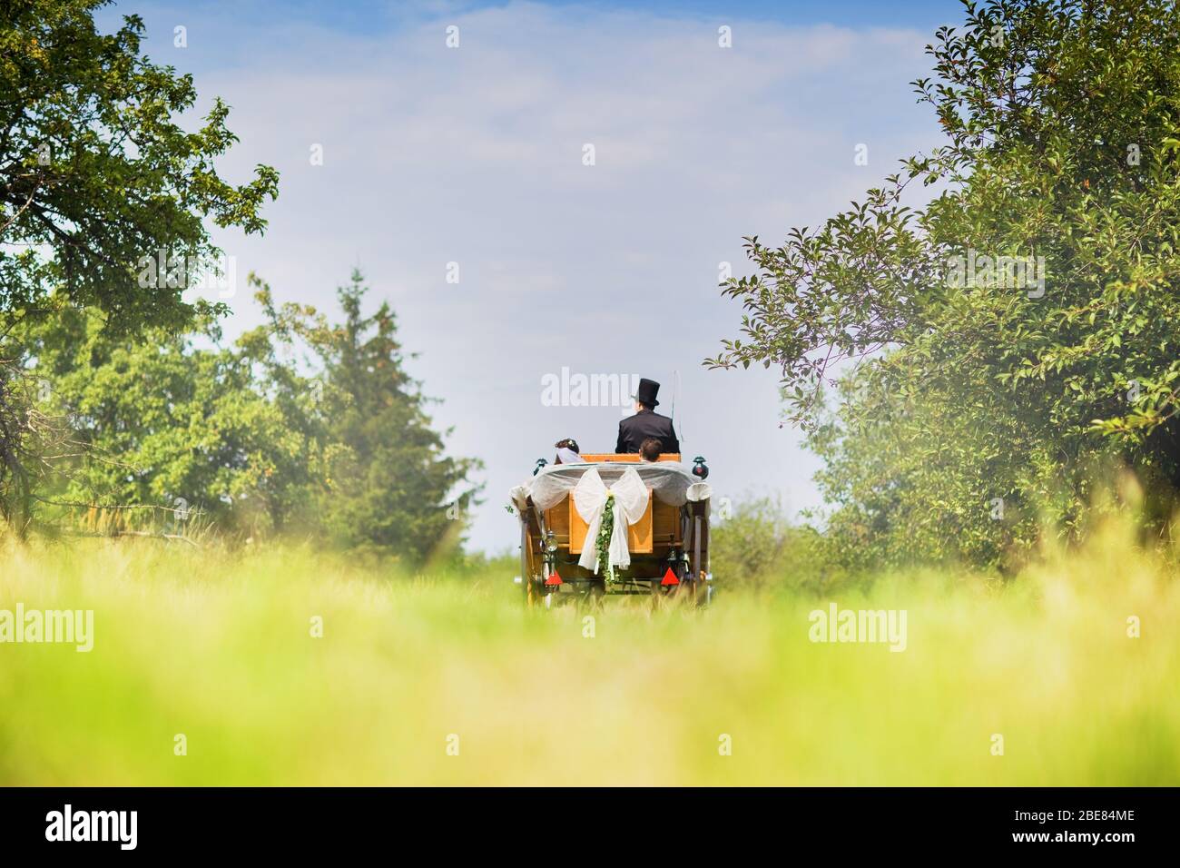 Horse carriage wedding in garden, Great Britain Newly-wed couple in a ...