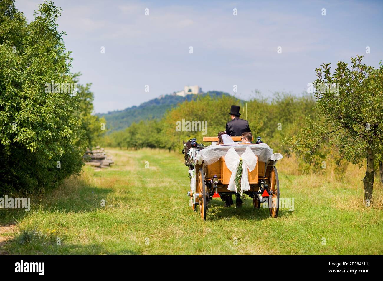 Horse carriage wedding in garden, Great Britain Newly-wed couple in a ...