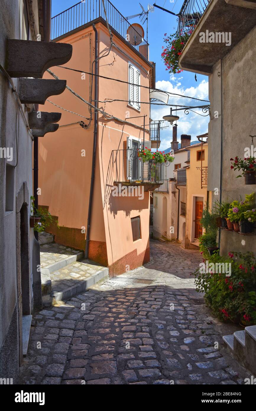 A narrow street between the old houses of Rotonda, a town in the ...