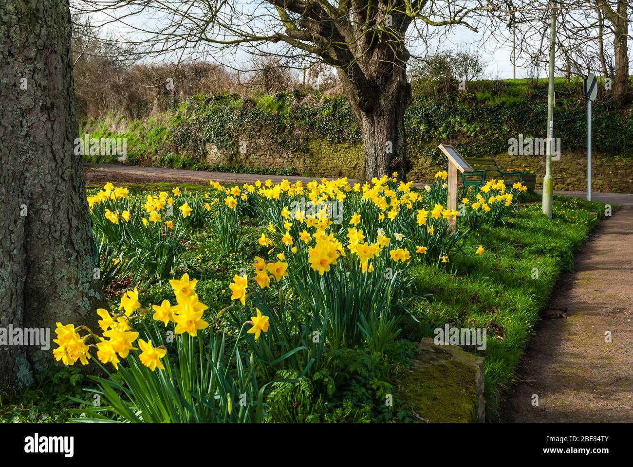 Britain in bloom winners hi-res stock photography and images - Alamy