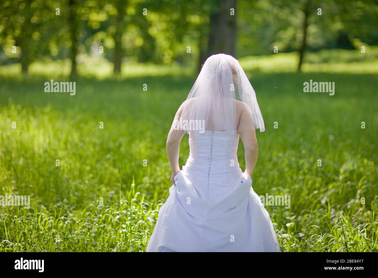 Back view of bride in white dress and groom in suit holding each others ...