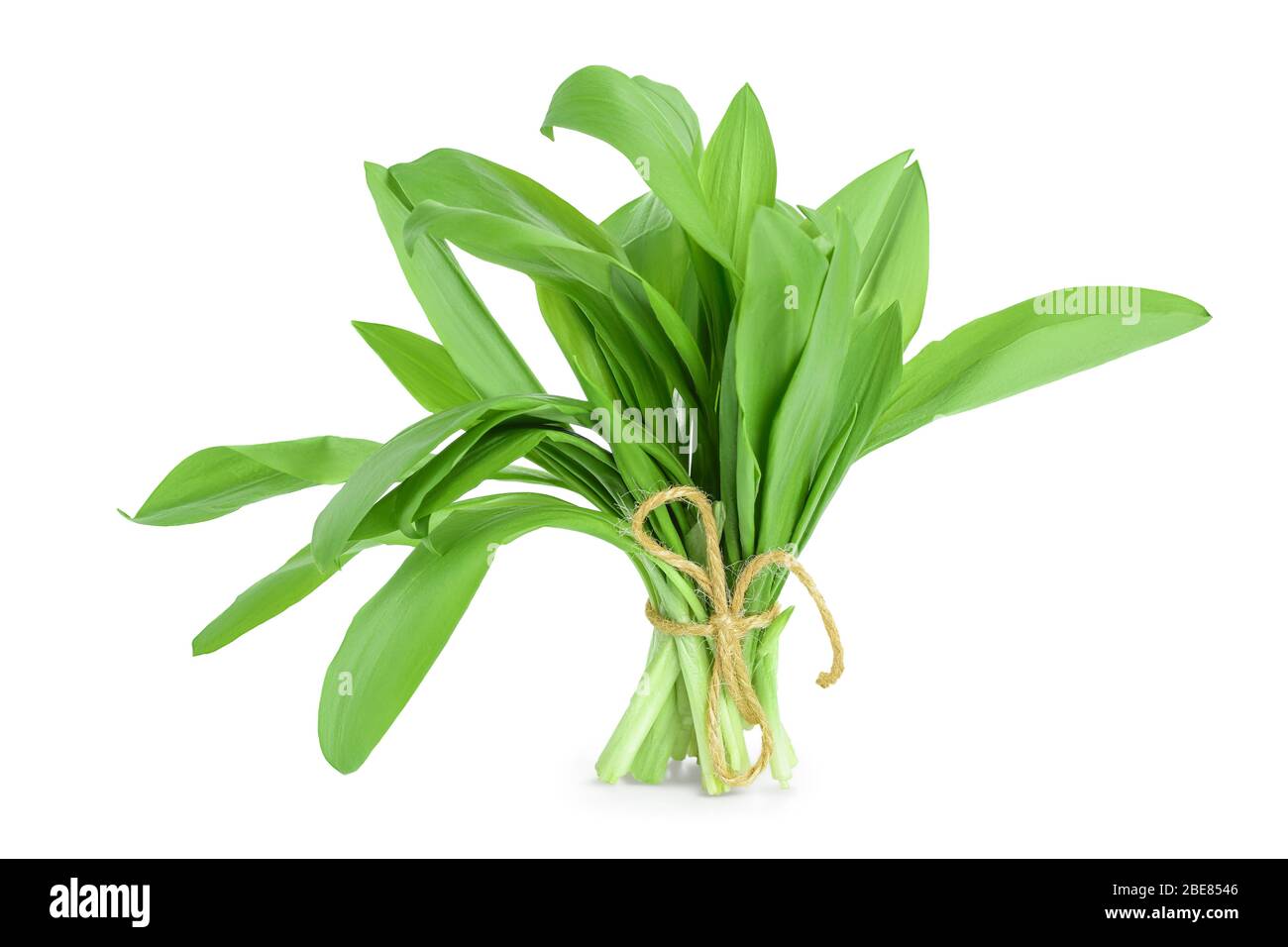 Ramson bunch vegetable isolated on white background with clipping path ...