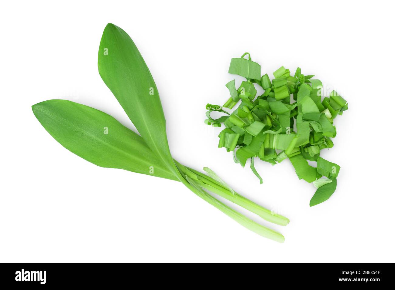 Ramson bunch vegetable isolated on white background with clipping path ...