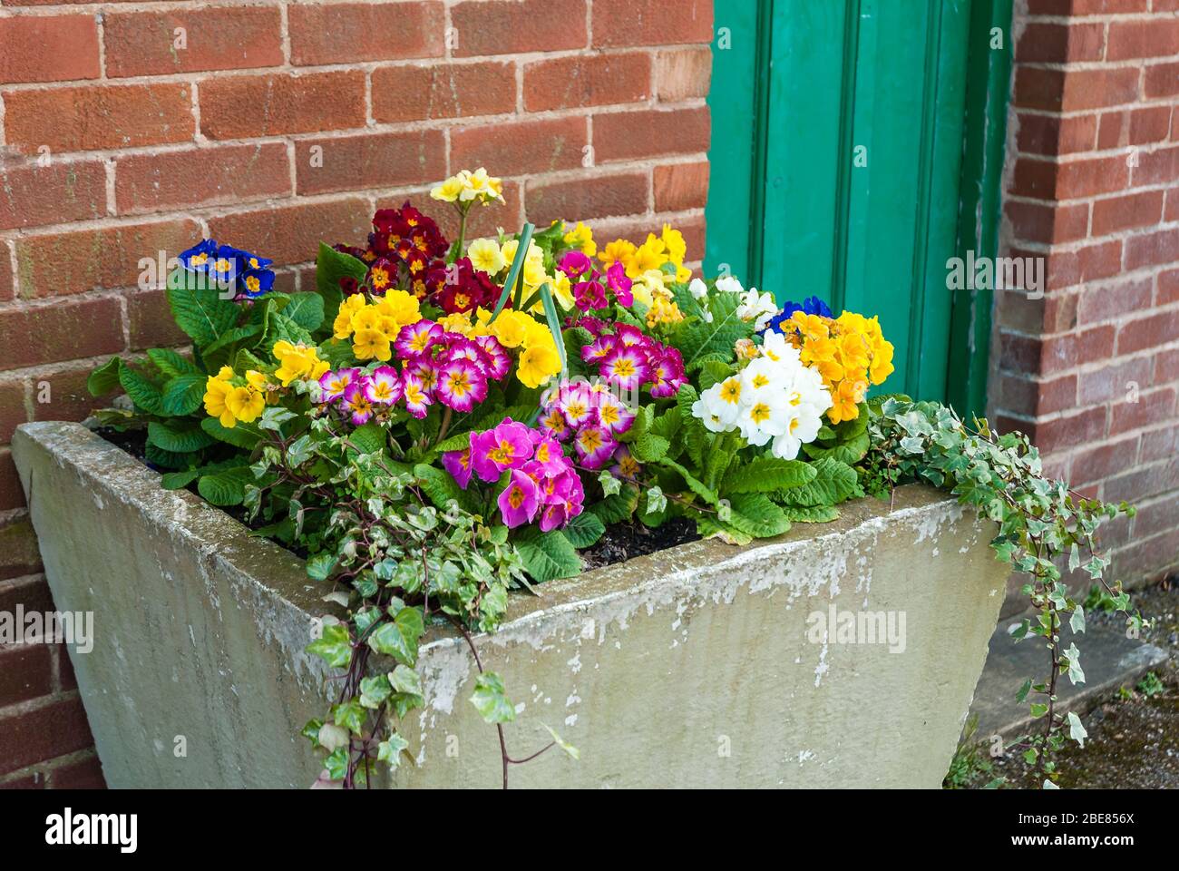 Britain in Bloom Gold Competition Winners Stock Photo - Alamy