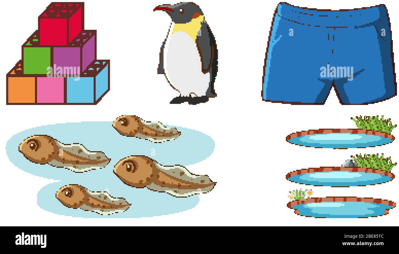 Large set of animals and other items on white background illustration ...