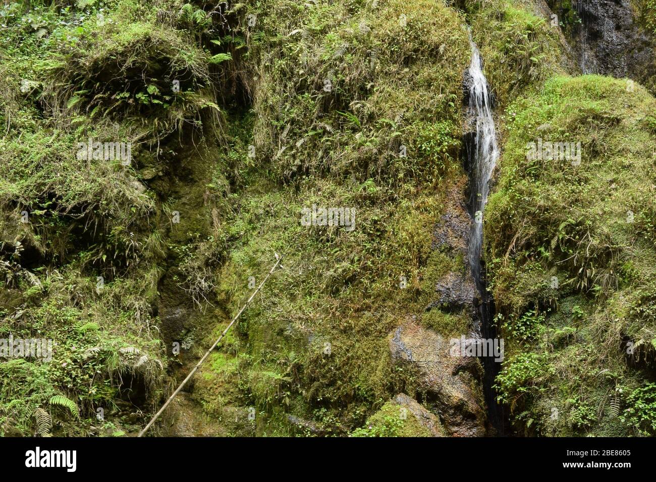 Scenic waterfalls in the forest, Aberdare Ranges, Kenya Stock Photo - Alamy