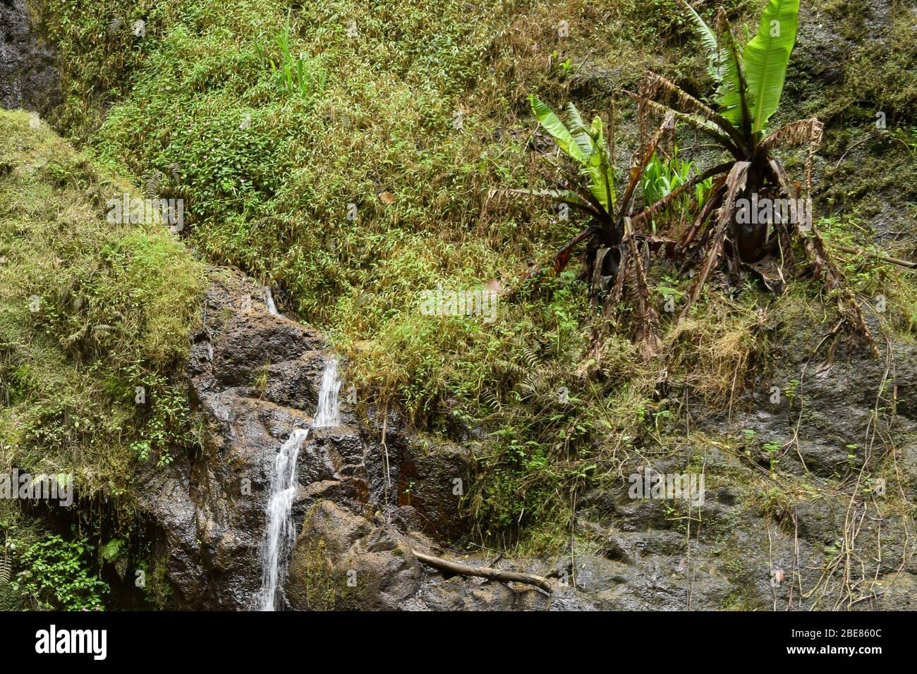 Aberdare ranges hi-res stock photography and images - Alamy