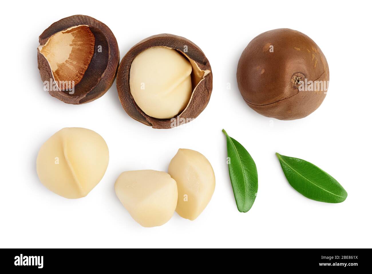 macadamia nuts isolated on white background with clipping path and full ...