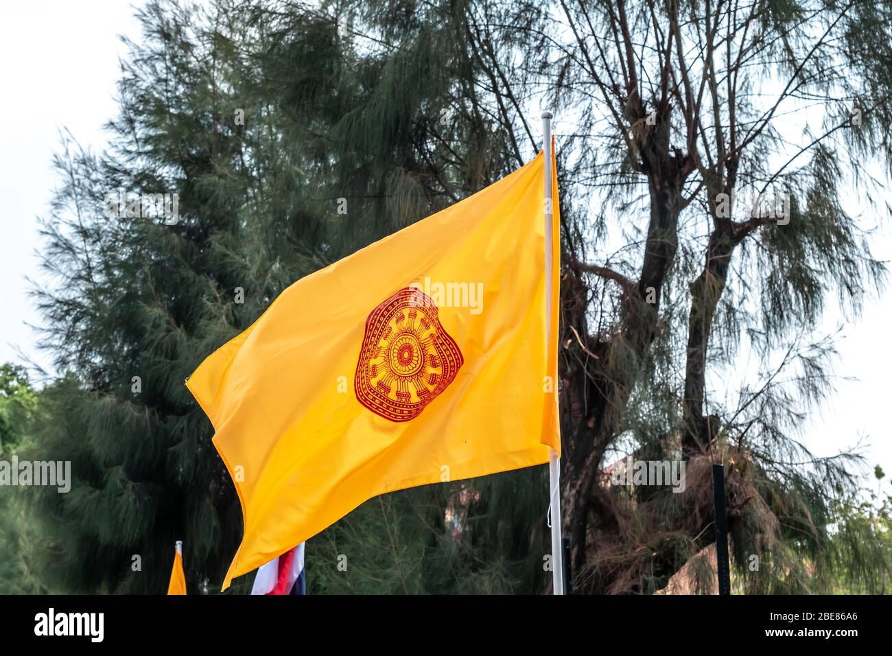 Flag of Buddhism monastery, yellow Buddhism flag Stock Photo - Alamy