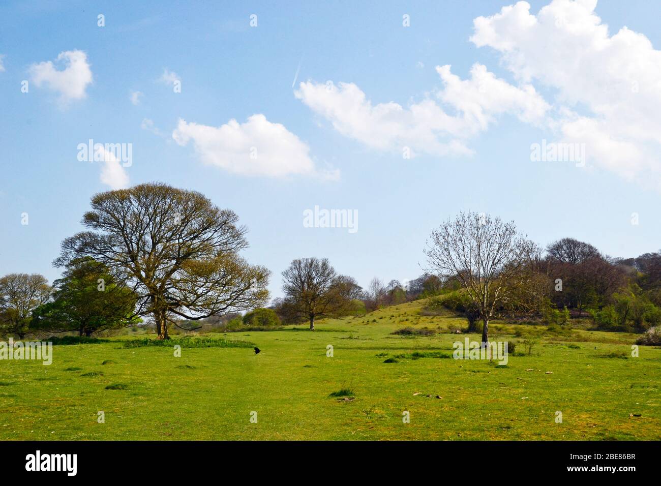 Trees and landscape on the hills in Great Kimble, Buckinghamshire, UK ...