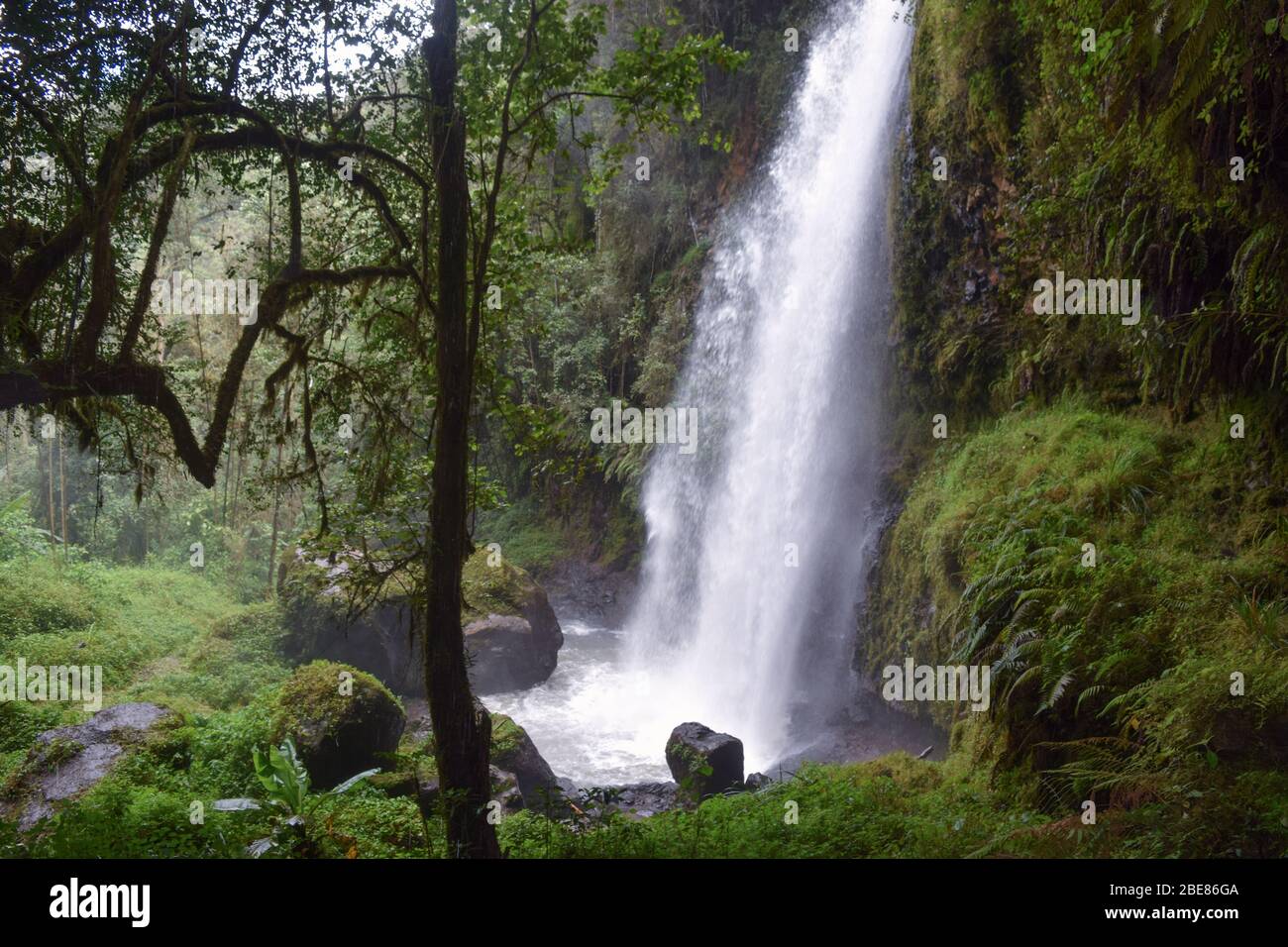 Aberdare ranges hi-res stock photography and images - Alamy