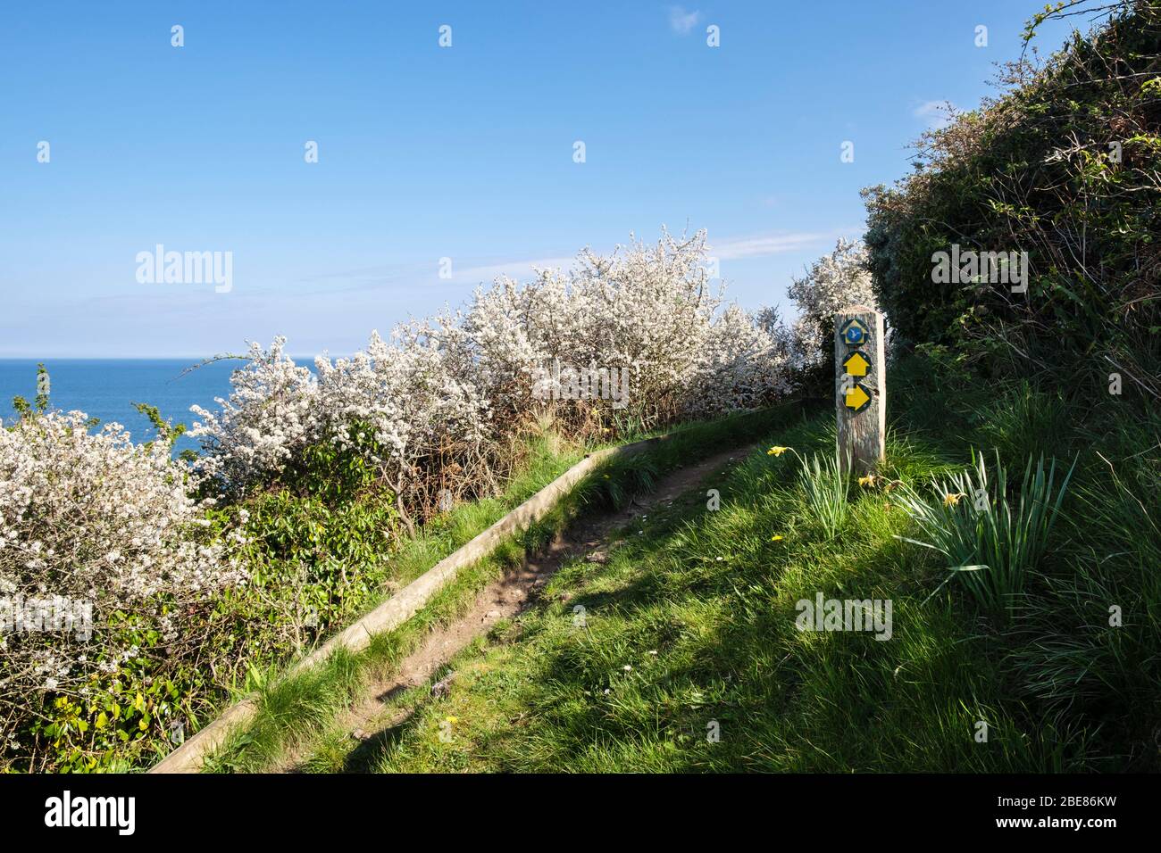 Welsh coastal path sign hi-res stock photography and images - Alamy