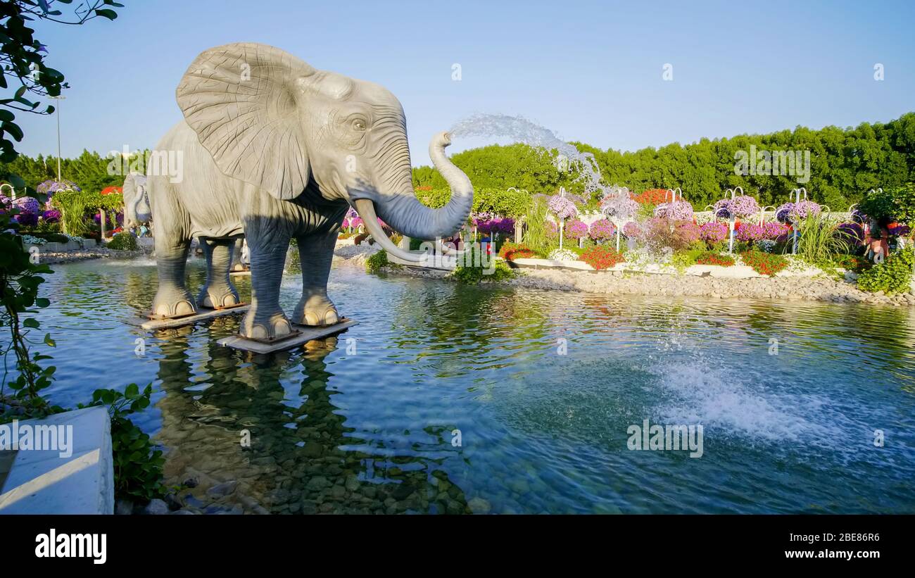Dubai miracle garden elephant hi-res stock photography and images - Alamy