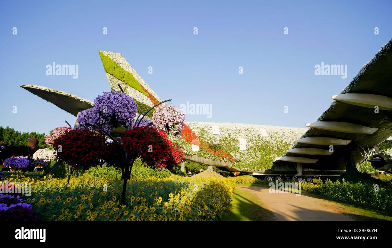 Dubai miracle garden: the world's largest natural flower garden ...