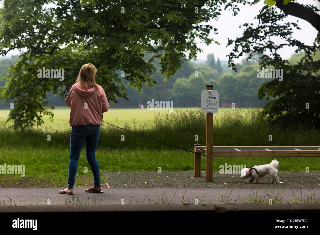 A woman walks her dog taking exercise in Sefton Park, Liverpool ...