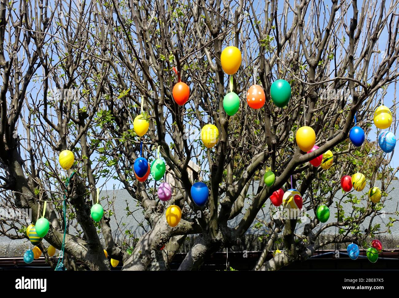 Easter tree hi-res stock photography and images - Alamy