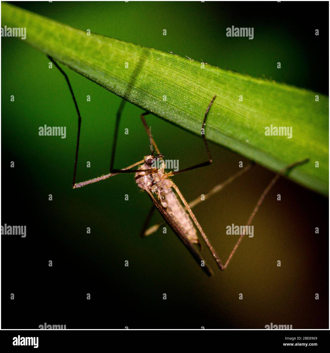 Resting your body Cut Out Stock Images & Pictures - Alamy