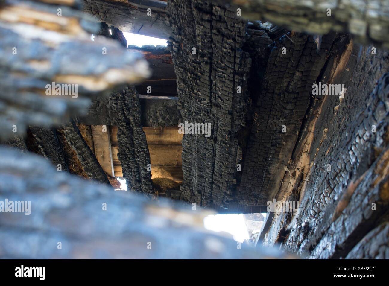 Natural fire ashes with dark grey black coals texture. It is a ...