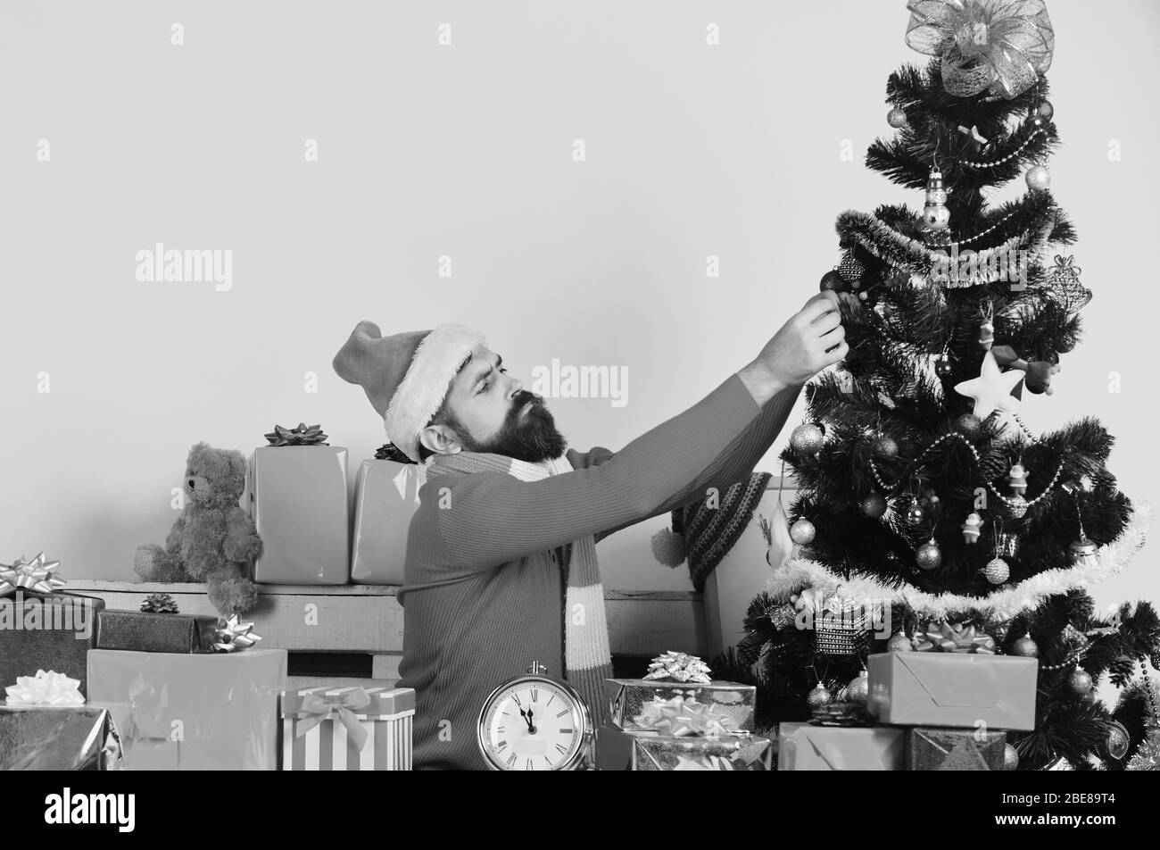 Santa decorates Christmas tree. Man with beard and concentrated face ...