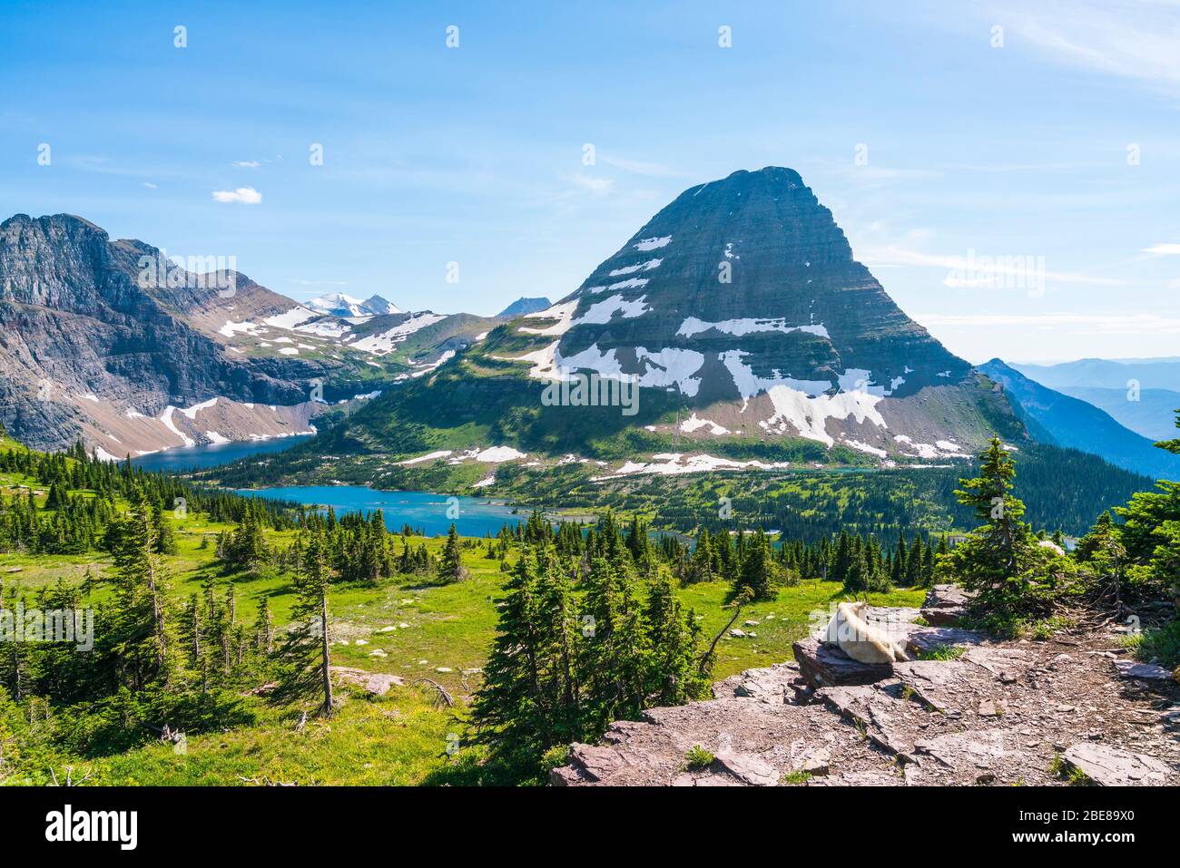 logan pass trail in Glacier national park on sunny day,Montana,usa ...