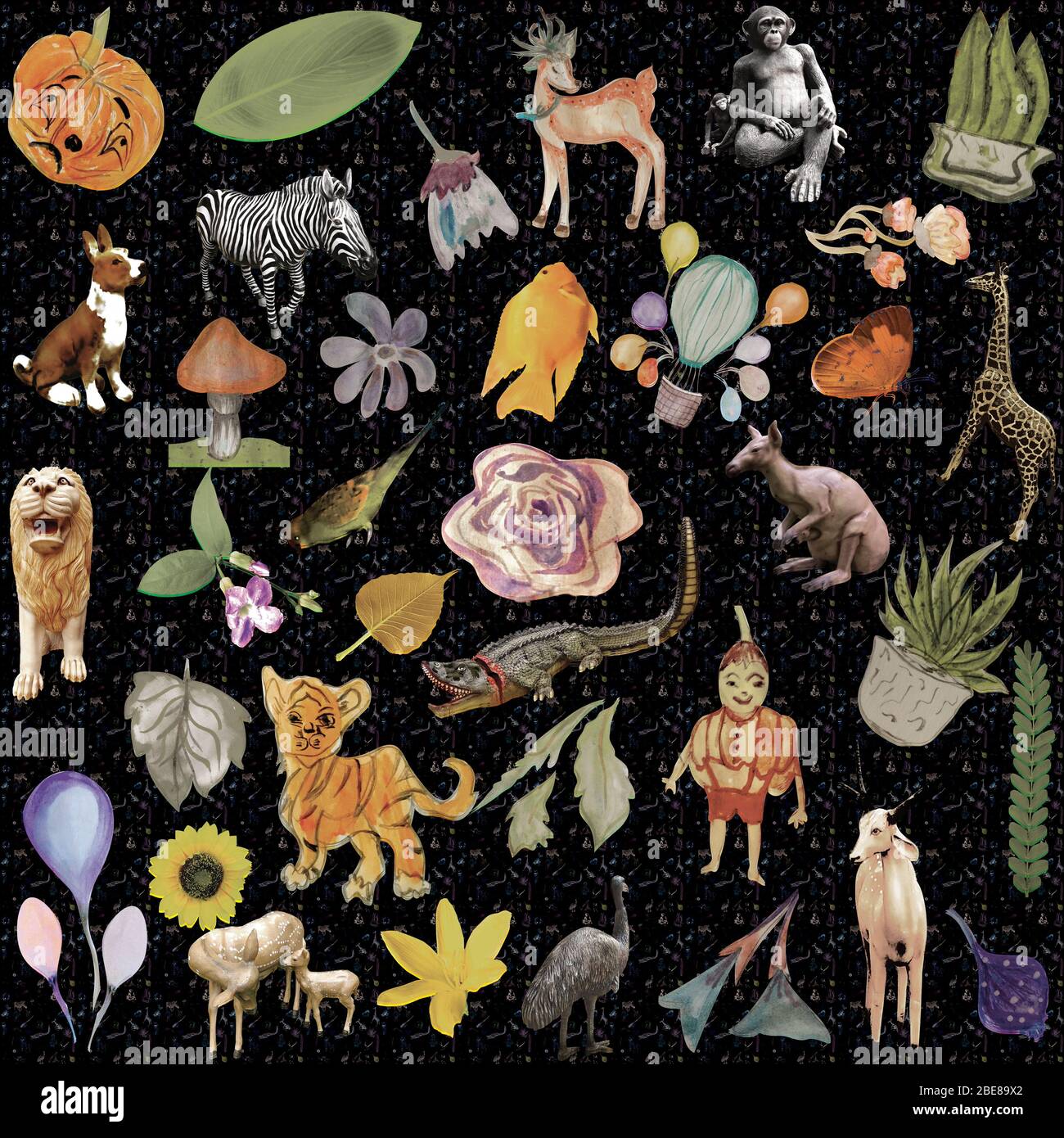 Zoo animals isolated hi-res stock photography and images - Alamy