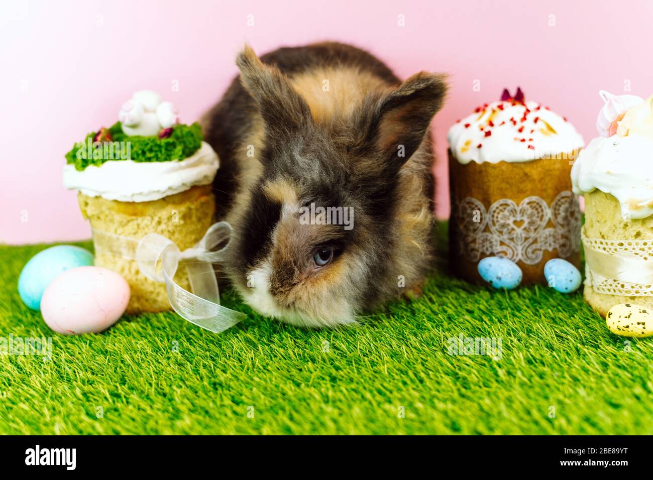 A furry brown little rabbit on a background of grass and a pastel pink ...