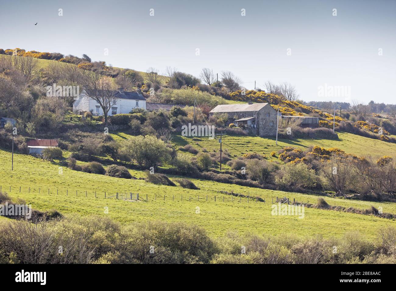 Squatters house uk hi-res stock photography and images - Alamy