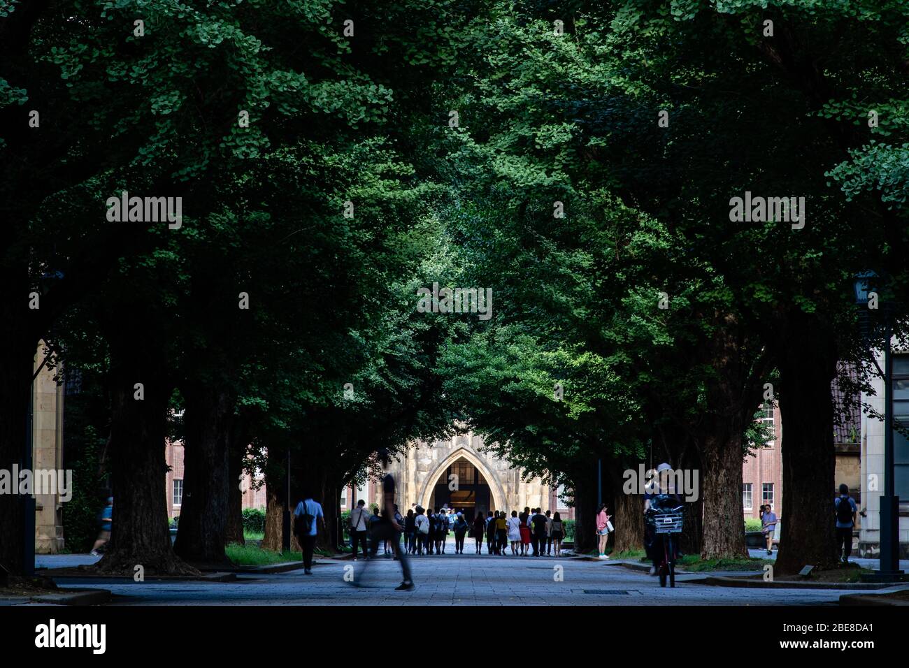 Tokyo university hi-res stock photography and images - Alamy