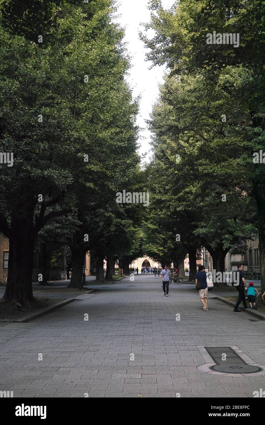 Todai university hi-res stock photography and images - Alamy