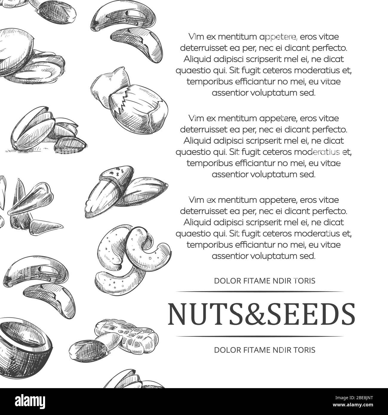 Nuts and seeds banner or poster. Cover with hand sketched nut and seed ...