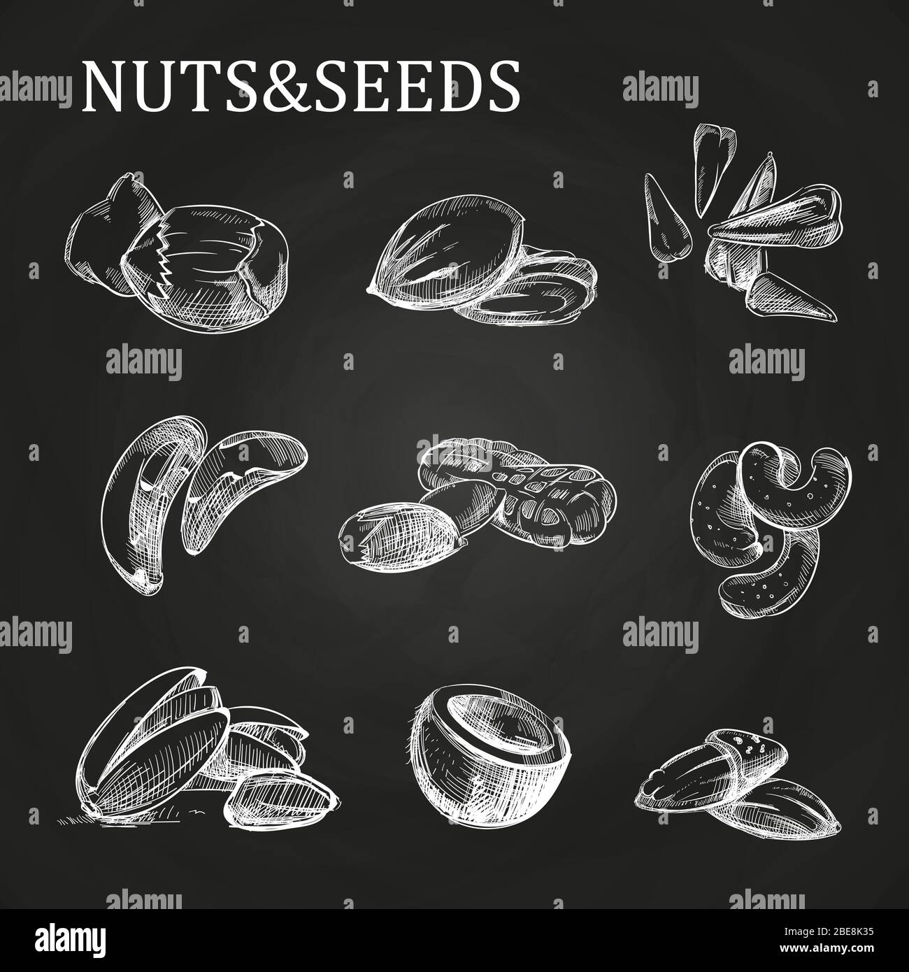 Hand drawn sketch cashew design hi-res stock photography and images - Alamy